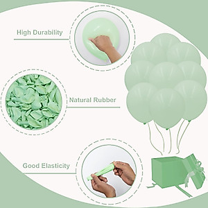 Pastel Green Balloons in different sizes 5 10 12 18inch-134pcs Pastel Green Balloons for Garland Arch，Baby Shower Graduation Wedding Anniversary Gender Reveal Birthday Party Decorations