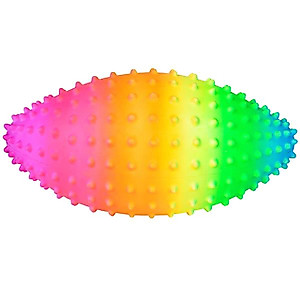 Rhode Island Novelty 9" RAINBOW KNOBBY FOOTBALL