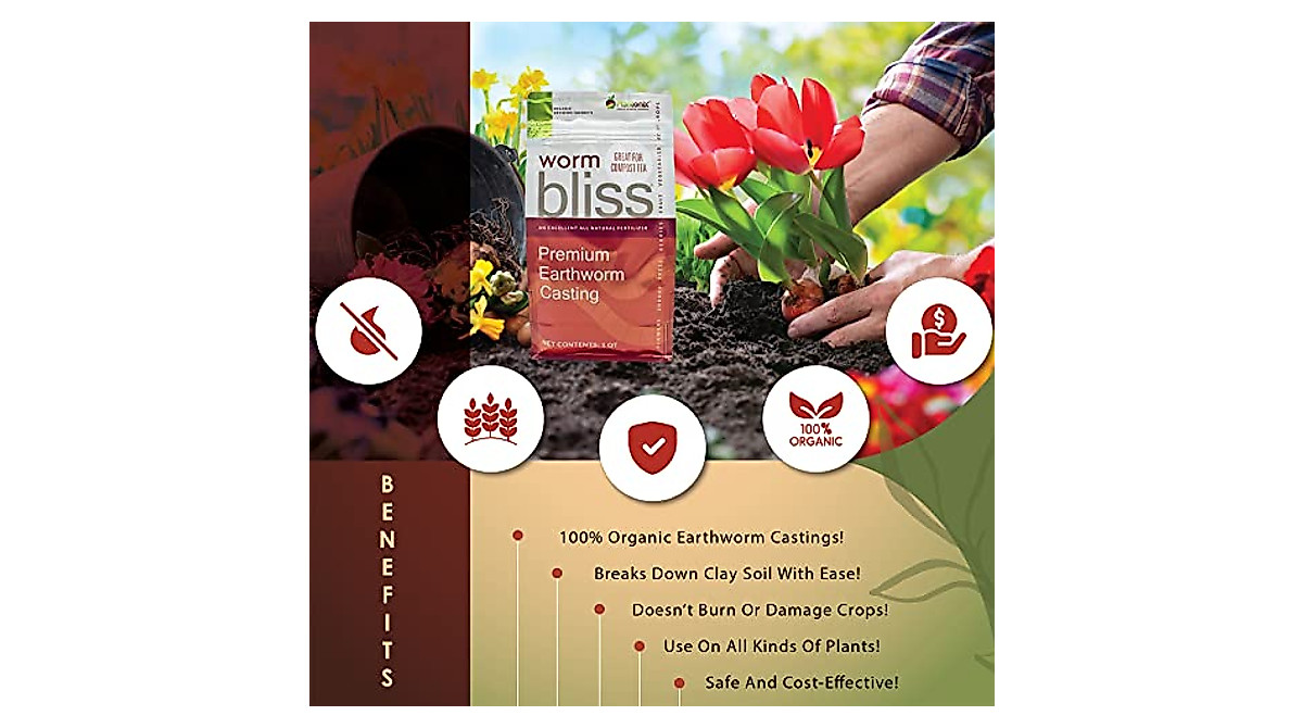 Worm Bliss Organic Earthworm Castings - Premium Plant Fertilizer