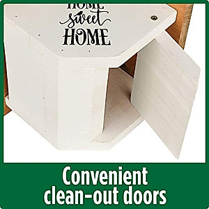 Wild Wings WWLH2-DECO Farmhouse Wren House, White