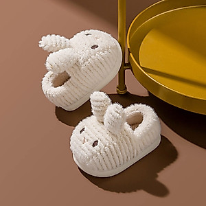 Toddler Fur Lined Winter Indoor Shoes Toddler Boys Girls House Slippers Home Shoes Plush Slip On Moccasins, White, 6-12 Months Infant (xeTtU8CQ1)