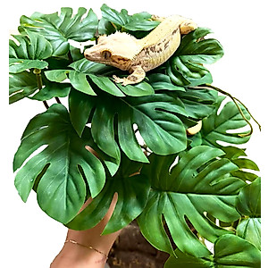 Woyrise Reptile Artificial Plants for Terrarium, Amphibian Habitat Decor Plant, Bearded Dragon Tank Decorations fit Gecko Lizard Chameleon Ball Python Snake Frog - Monstera Bush