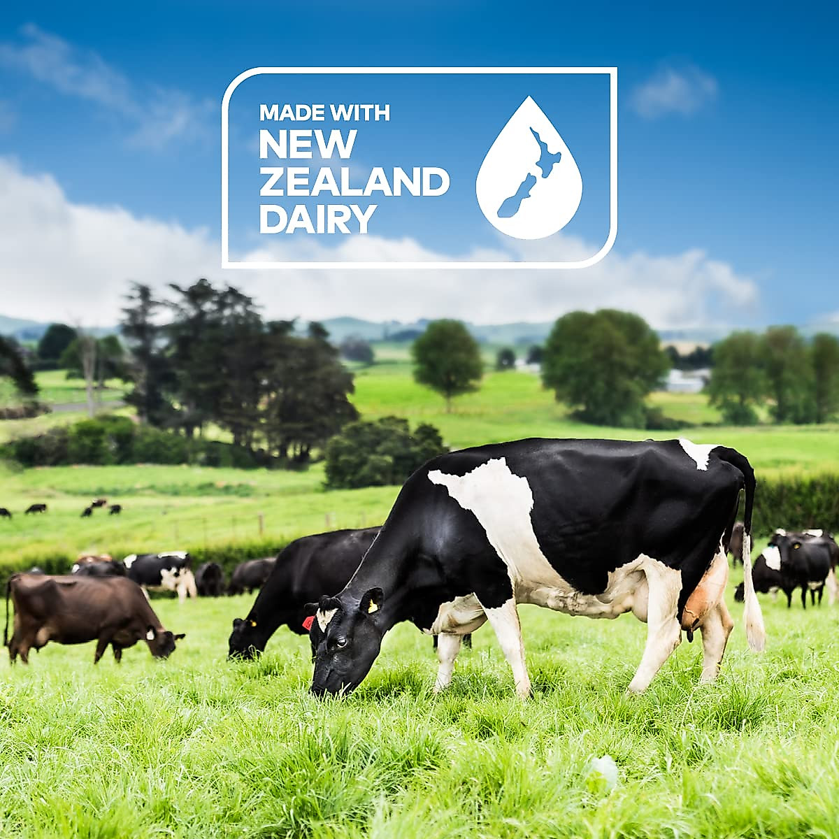 Pounamu Natural Whey Protein Isolate Powder, 28g Protein, 7.3g BCAAs, 4g Leucine | New Zealand Free-Range, Grass-Fed Dairy | Gluten-Free, Keto, Kosher | 2LB, 30 Servings