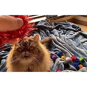 RIMOBUL 100PCS 1.5 INCH Cat Toy Balls Extra Large Sparkly Cat's Favorite Chase Glitter Ball Toy Sparkle Pom Pom Balls