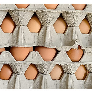 Cornucopia 30-Count Egg Flats (18 Trays); Biodegradable Recycled Material Chicken Egg Cartons, Each Holds 30 Eggs