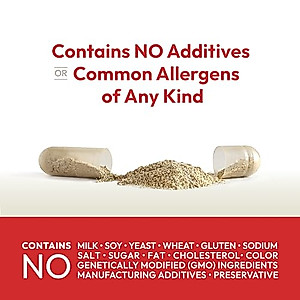 ANDREW LESSMAN Essential-1 Multivitamin 2000 IU Vitamin D3 180 Small Capsules – 100 mcg Methyl B12. CoQ10 Lutein Lycopene Zeaxanthin. High Potency. No Additives. Gentle Ultra-Mild. One Daily Capsule