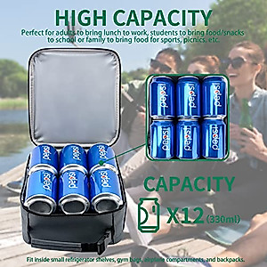 ProCattle Reusable Lunch Box for Kids Men Women Adults, Durable Small Insulated Lunch Bag, Portable Lunchbox for Office Work -Gray