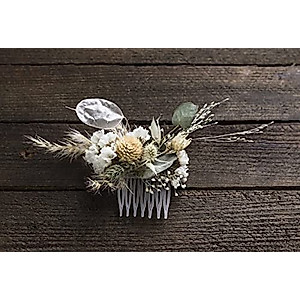 TomorrowSeeds - Money Plant Seeds - 150+ Count Packet - Non GMO USA Lunaria Annual Honesty Silver Dollar Plant Wildflower Garden Flower