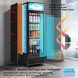BODEGACOOLER Commercial Merchandiser Refrigerator, Glass Door Display Refrigerator,Upright Beverage Display Cooler with Soft LED Light, Adjustable Shelves and Drink Organizers, 9 Cu. Ft,Black
