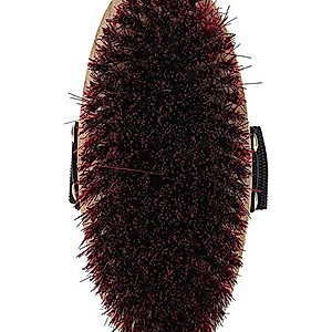 Equine Horse Grooming Kit, Horse Brush Set,10 Piece Equine Care Series Set Horse Cleaning Tool Brush Comb Grips Set questrain Brush Curry Comb Horse Cleaning Tool Set