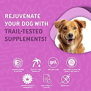 waggedy Advanced Probiotics Gut & Digestion Food Topper — Digestive Enzymes w/Papaya — Probiotic Powder — Dog Supplement Powder — Products for Dogs Over 6 Weeks (114g)