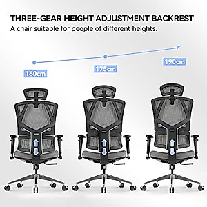 SIHOO Ergonomic Office Chair - High Back Desk Chair with Lumbar Support, 3D Armrest and Adjustable Height Backrest - Thick Seat Cushion Breathable Mesh Computer Chair (Gray)