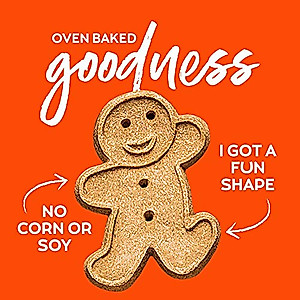 Buddy Biscuits Oven Baked Treats with Peanut Butter, Whole Grain - 16 oz. - Single Box (12500_Single)