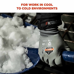 Ergodyne ProFlex 7501 Coated Waterproof Winter Work Gloves Gray, Large, 1 Pair