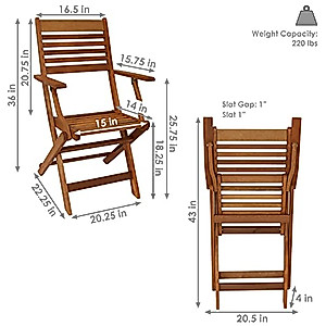 Sunnydaze Meranti Wood Outdoor Folding Patio Armchairs - Set of 2 - Outside Wooden Bistro Furniture for Lawn, Deck, Balcony, Garden and Porch - Teak Oil Finish