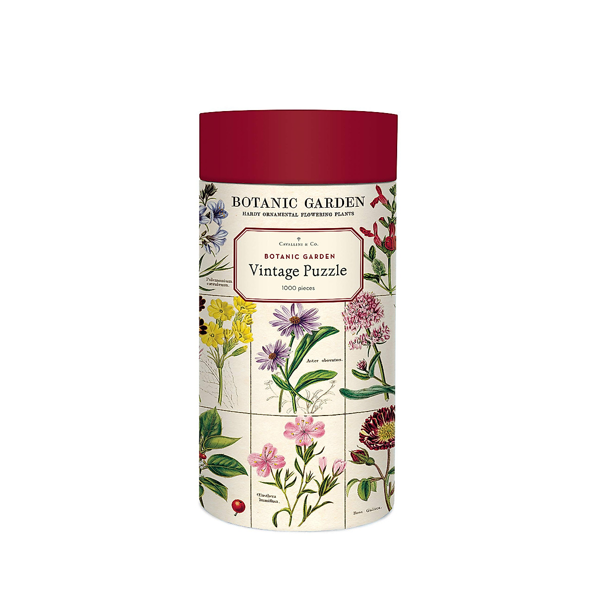 Cavallini Papers & Co. Botanic Garden 1,000 Piece Puzzle, Multi