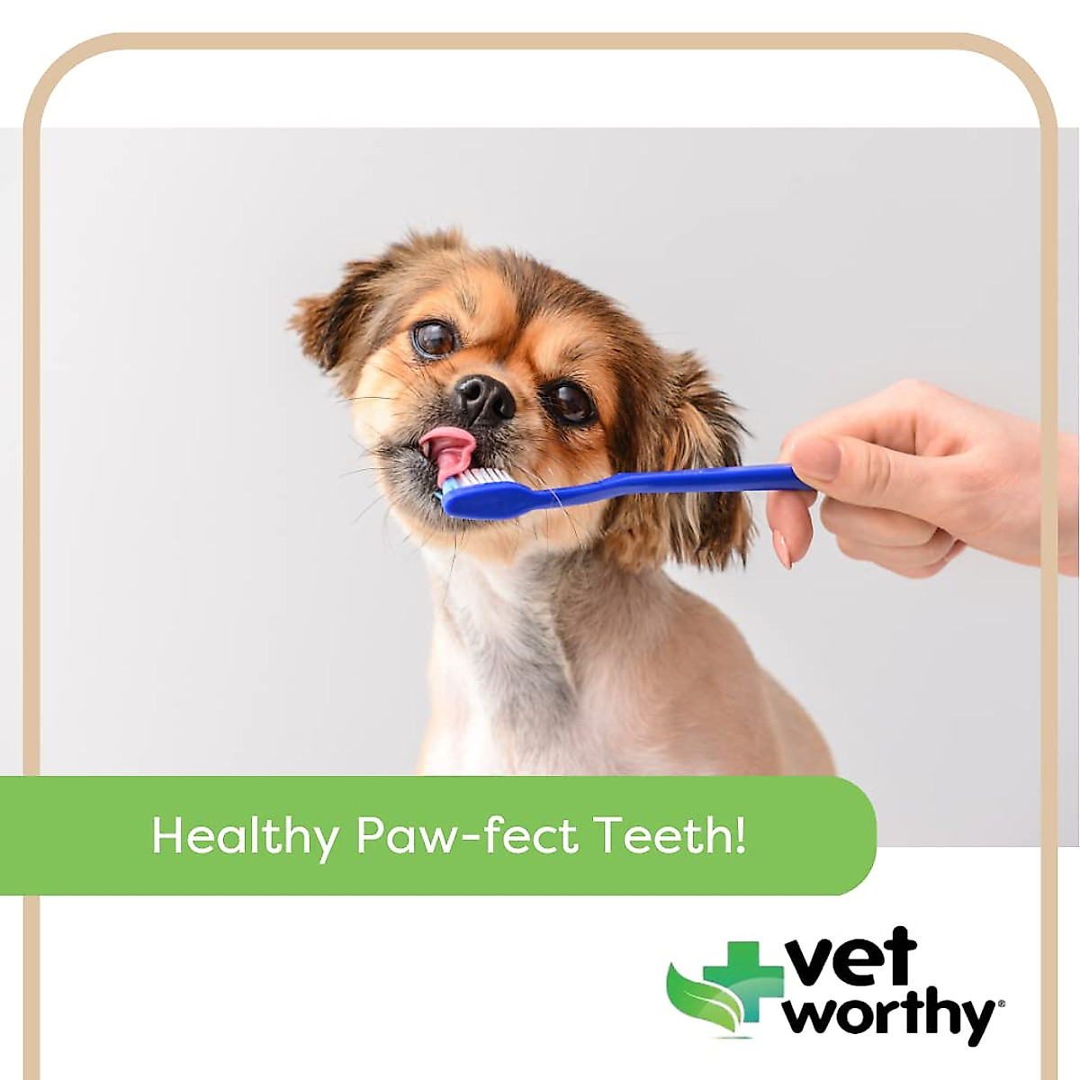 Vet Worthy Peanut Butter Enzymatic Toothpaste for Dogs - For Clean, Healthy Teeth and Gums - Freshen Dogs Breath - Peanut Butter Flavor - Made in the USA - Start Your Dog’s Dental Routine Today - 3oz