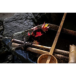 FUJIFILM digital camera X100F black X100F-B--JAPAN IMPORT