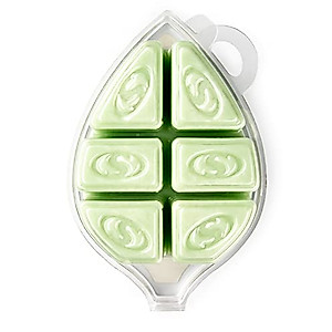 Shortie's Candle Company Christmas Tree Natural Soy Wax Melts - Formula 117-1 Highly Scented 3 Oz. Bar - Made with 100% Soy and Essential Fragrance Oils - Phthalate & Paraffin Free, Vegan, Non-Toxic