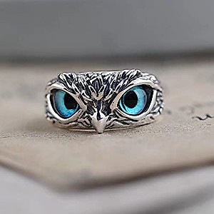 COLORFUL BLING 2pcs Gothic Demon Eye Owl Ring Set Adjustable Retro Open Antique Silver Crystal Band Rings for Women Men Animal Lucky Retro Jewelry