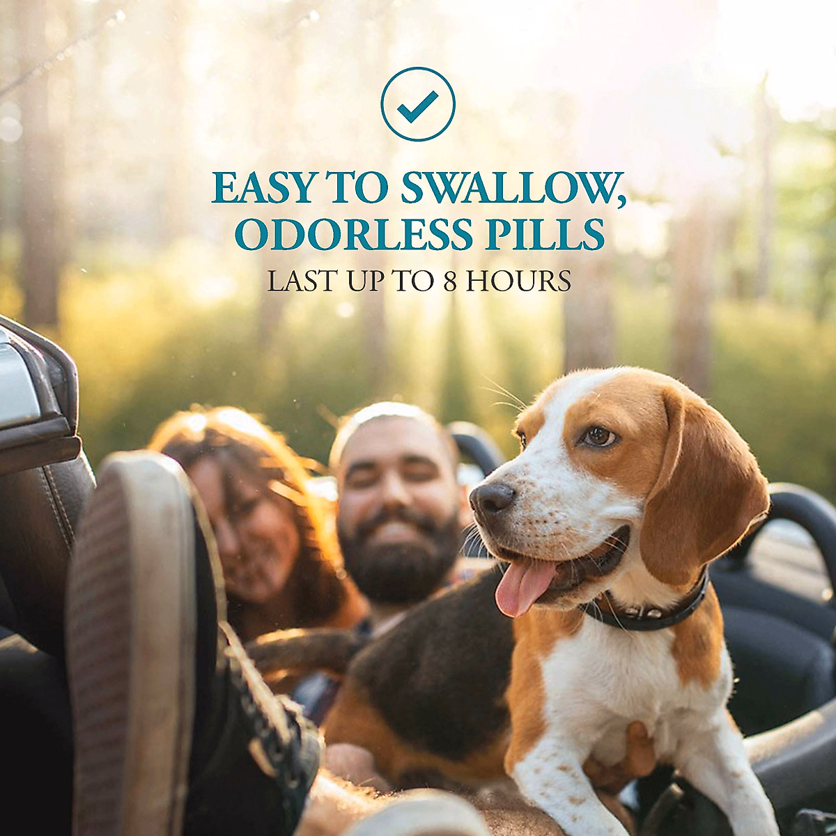 Nausx (51-90lbs Anti Nausea/Motion Sickness Treatment and Preventative for Dogs (NSXL)