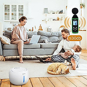 Cat Water Fountain, 85oz/2.5L Cat Fountain Water Bowl Dispenser for Cats Inside, Pet Water Fountain with an Adapter and Filter 2 Flow Modes for Small Dogs Drinking [Ultra-Quiet Version]