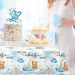 DataMoon We Can Bearly Wait Baby Shower Decorations - Baby Boxes with Letters,Boho Balloons,We Can Bearly Wait Backdrop,Tablecloth for Teddy Bear Baby Shower,Birthday Supplies,Gender Reveal