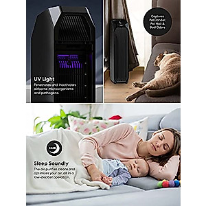 Lago Air Purifier for Home with True HEPA Odor Reducing Carbon Filters Up to 222 sq ft - Silent, Multiple Purification Speeds - Reduces Pet Dander, Pollen, Smoke, Dust (Black)