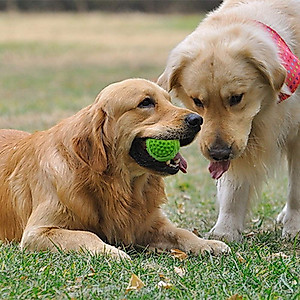 Ball Toy Molar Ball Tooth Grinding Toy Rubber Chew Toy for Pet Dog (Size L 7.5cm)