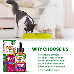 Urinary Tract Infection Treatment Drops for Dogs, UTI Treatment with Cranberry-Kidney for Pet Renal Health, Prevent Incontinence & Bladder Stones