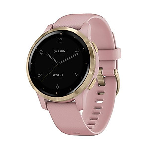 Garmin Vivoactive 4S GPS Smartwatch with Music & Fitness Activity Tracker & Health Monitor Apps (Dust Rose/Gold) 010-02172-31 4 S Bundle with CPS Enhanced Protection Pack