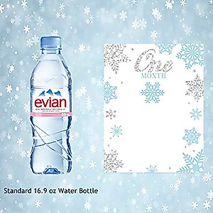 Winter Onederland Birthday Decorations Snowflake First Birthday Photo Banner - Milestone, Monthly Newborn to 12 Months Banner Clips for Snowflake Themed 1st Birthday Party Decorations