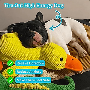 kunishi Calming Duck Dog Toy, Quacker Calming Duck Toy, Emotional Support Duck for Dogs, The Mellow Dog Calming Duck, Yellow Stuffed Duck Dog Chew Toys with Calming Ball (Yellow, Small)