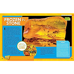 Ultimate Rockopedia: The Most Complete Rocks & Minerals Reference Ever