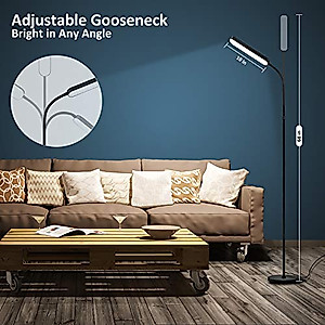 Wio-Mio Led Floor Lamp with 4 Color Temperature and Stepless Dimmer, Remote and Touch Control Floor Lamp, Adjustable Gooseneck Standing Lamp for Living Room