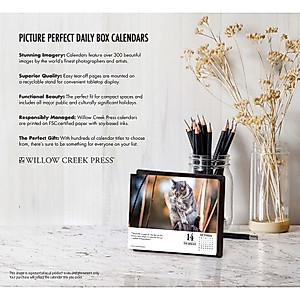 Crusoe the Celebrity Dachshund 2021 Box Calendar (Dog Breed Calendar)