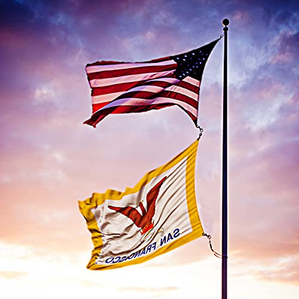 Flag Pole Rope Kit - 100ft Flag Pole Halyard Rope 1/4" Thick with 4 Pcs Zinc Alloy Swivel Snap Hooks for Flagpoles Up to 50ft, Double Braided Nylon Flagpole Line Rope Outdoor Flagpole Accessories