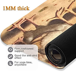 GOODOLD Farm Chicken House Yoga Mat, 71 x 26 Inch Non-slip Yoga Mats Folding Travel Exercise Mat Indoor Outdoor Gym Pilates with Storage Bag for Women Men