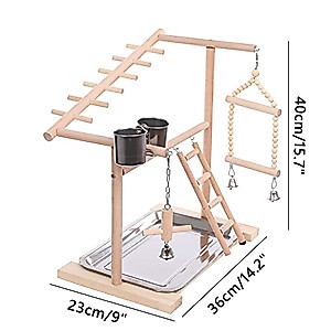 Bird Playground Birdcage Playstand Parrot Play Gym Parakeet Cage Decor Budgie Perch Stand with Feeder Seed Cups Ladder Hanging Swing Chew Toys Parakeets Conures Macaw Cockatiel Finch