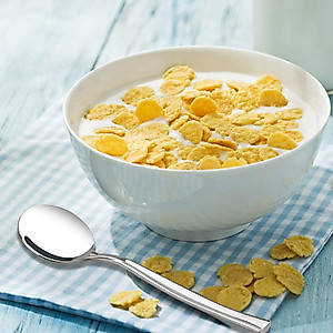 Idotry Round Soup Spoon, Stainless Steel Bouillon Spoon, Set of 12