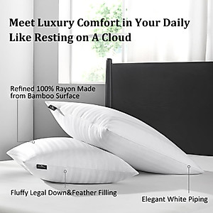 downluxe Goose Down Pillows - Hotel Collection Feather Pillows Set of 2 for Back, Stomach or Side Sleepers, Queen Size (20"x28")