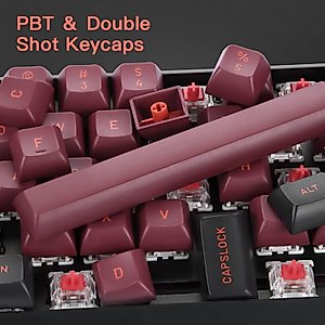 Darmoshark 2.4GHz Wireless/Wired Mechanical Keyboard — 65% (68 Key) Gaming Keyboard, Hot-Swap Switches, Programmable Macros, RGB LED Backlit, Type-C, PBT Spherical Keycap(Gateron Brown, Cherry Red)