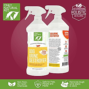 Only Natural Pet Enzyme Powered Stain & Odor Eliminator - Professional Pet Urine Pee Cleaner Deodorizer for Dogs - Hardwood Floors Carpets Upholstery - Eucalyptus & Rosemary Scent - 32Floz