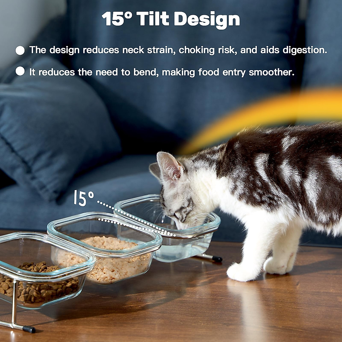 Hannadepot Elevated Cat Bowls, 15° Tilted Glass Raised Cat Food Bowl with Stainless Steel Stand, 3 Glass Cat Bowls and 4 Anti Slip Feet, Suitable for Cats and Little Dogs