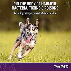 Pet MD Stool-Fix - Powdered Clay Anti Diarrhea for Dogs & Cats - Anti Diarrheal Treatment for Upset Stomach Relief, Promotes Normal Stool - 100g