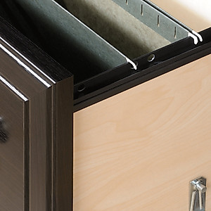 Sauder Palladia 2 Drawer File Cabinet, Lateral Filing Cabinets for Home Office, Hanging File Folders Organizer, Interlocking Drawers, in Wind Oak Finish