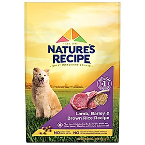 Nature’s Recipe Original Dry Dog Food for Adult Dogs, Lamb & Rice Recipe, 12 lb Bag
