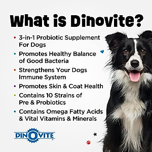 Dinovite Probiotic Supplement for Dogs - Omega 3 for Dogs - Hot Spot Relief - Skin & Coat Supplement for Dogs - 90 Day Supply for Medium Dogs (3.5 lbs)