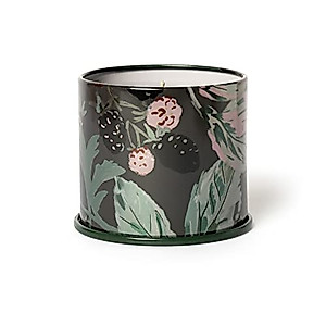 Illume Beautifully Done Essentials BlackBerry Absinthe Vanity Tin Scented Candle