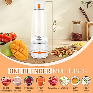 Portable Blender Personal Blender for Shakes and Smoothies, Mini USB Blender with 6 Blades, 17Oz Blender to Go for Travel, Office, and Sports, White